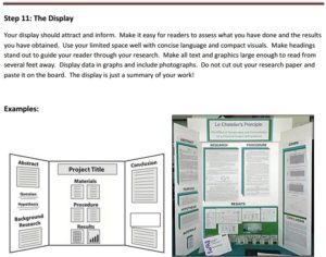 Science Fair Projects & Experiments - Guides and Ideas - Best Ed Lessons