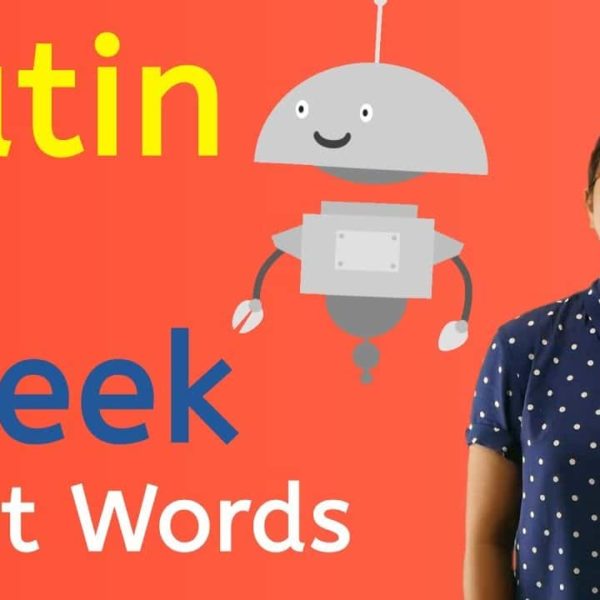 150 Vocabulary Word-Definition Lists and Worksheets for Middle - High ...